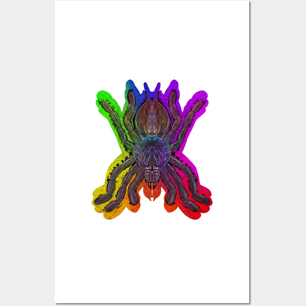 Rainbow Tarantula (No Background) - Tarantula - Posters and Art Prints | TeePublic